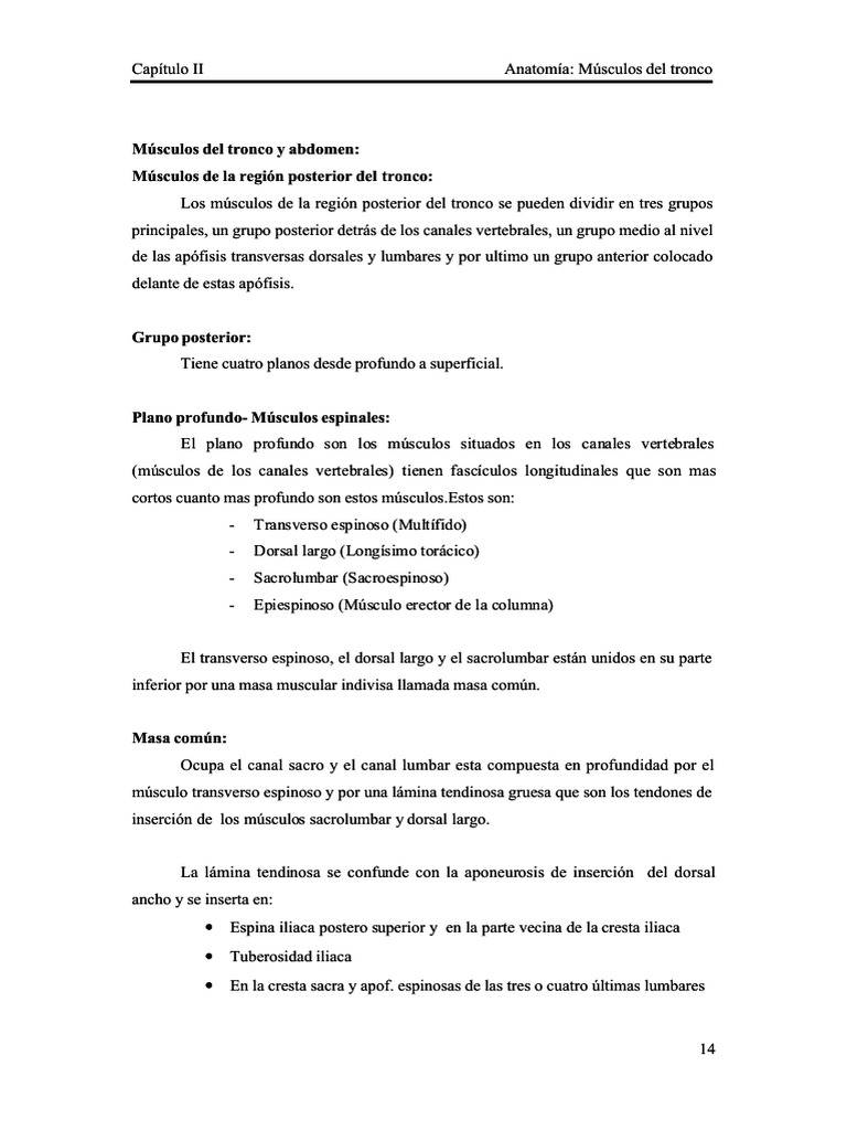 Rouviere Delmas Anatomia Humana Resumen | PDF | La columna vertebral | Hombro