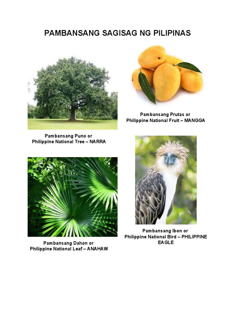 Pambansang Sagisag NG Pilipinas | PDF | Cooking, Food & Wine