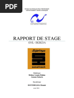 Rapport sur la liquéfaction du GNL en Algérie | PDF | Gaz naturel ...