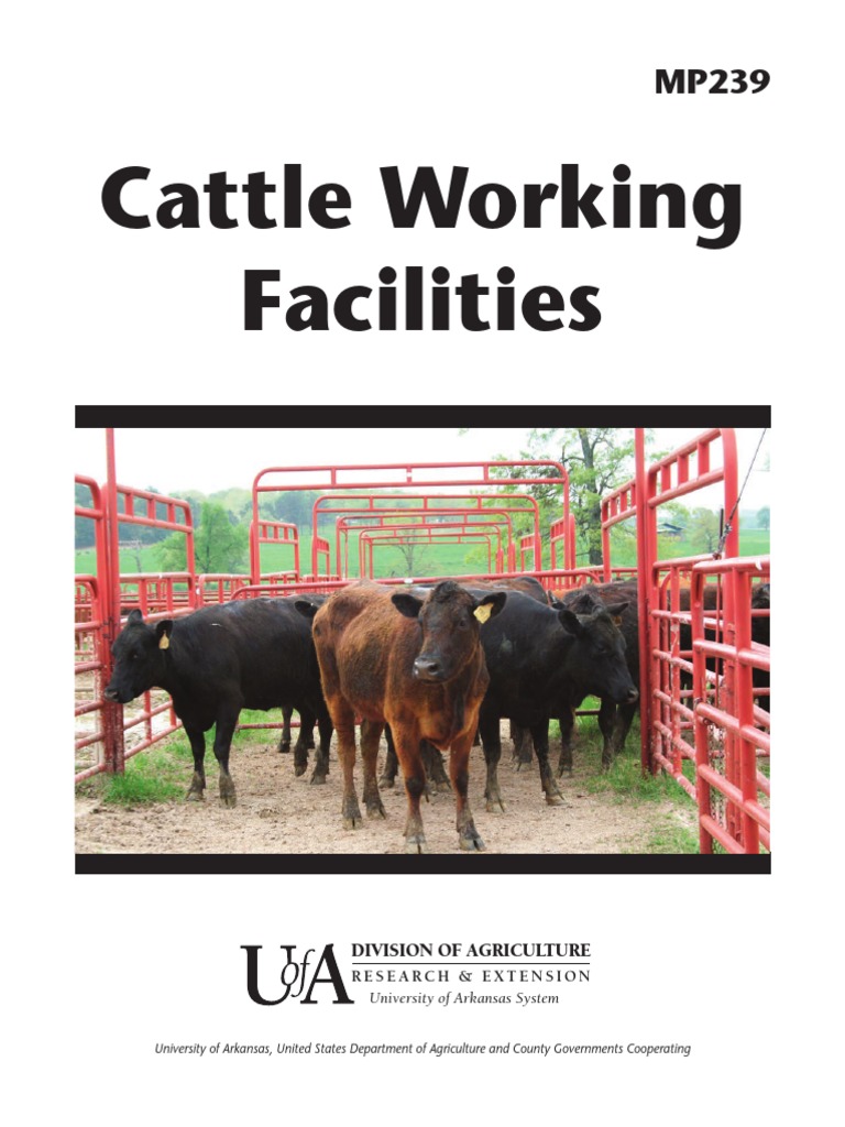 Cattle Working Facilities | PDF | Calf | Cattle