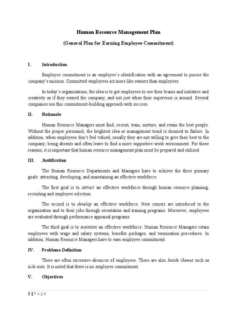 Human Resource Management Plan Overview | PDF | Employment | Human ...