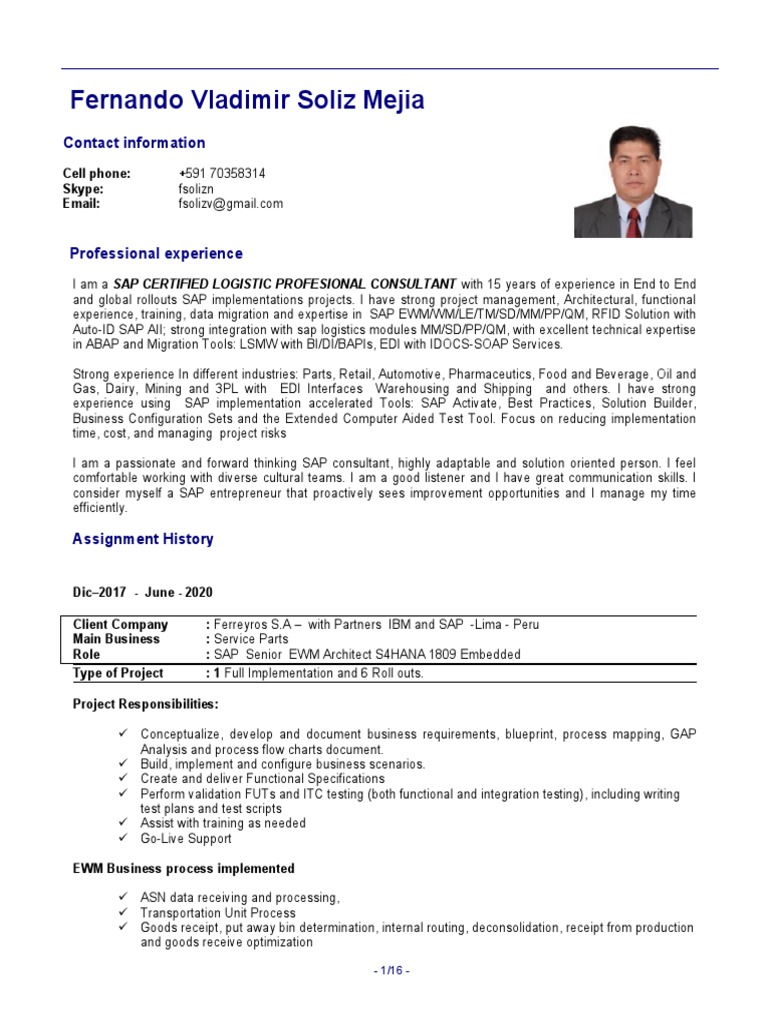 Fernando+Soliz CV-EWM | PDF | Electronic Data Interchange | Radio ...