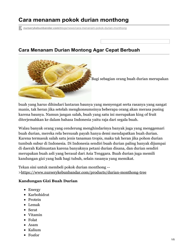 Cara Menanam Pokok Durian PDF | PDF