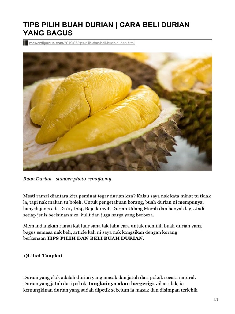 Tips Memilih Durian Berkualitas | PDF | Pengembangan Diri
