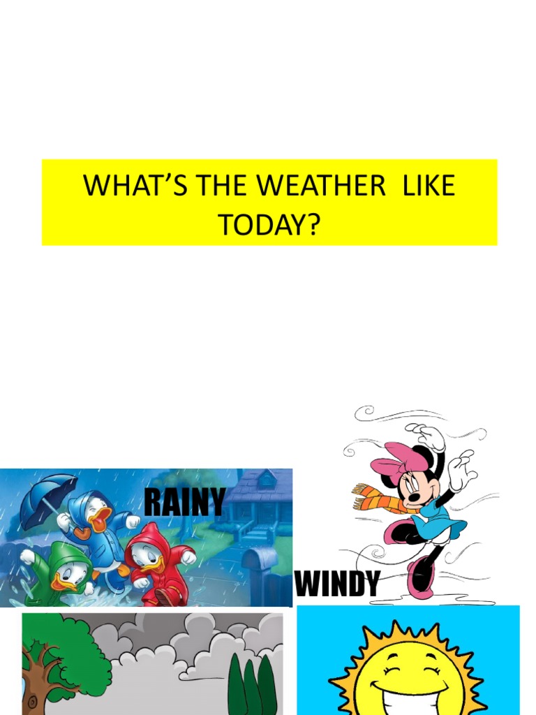 What'S The Weather Like Today? | PDF