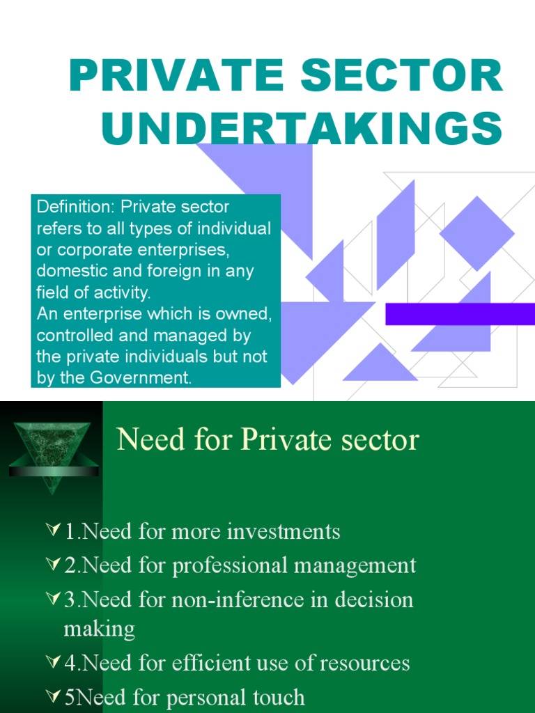 The Benefits and Drawbacks of Private Sector Undertakings | PDF