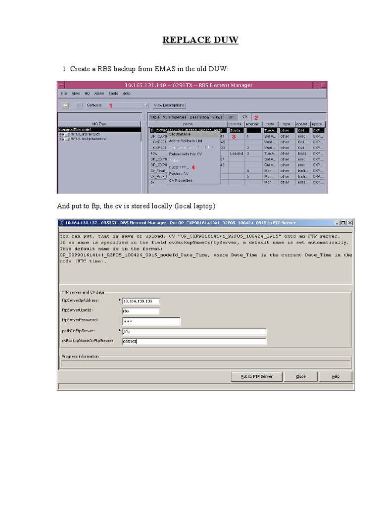 DUW RBS Backup and Upgrade Guide | PDF | File Transfer Protocol | Backup