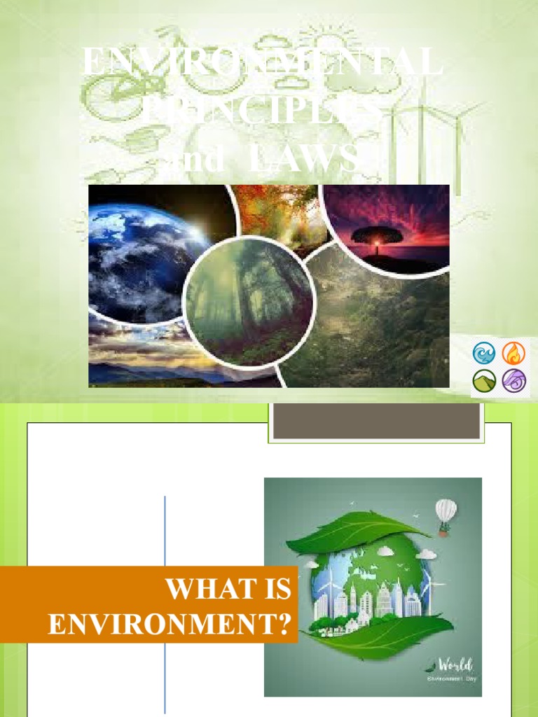Environmental Principles and LAWS | PDF | Natural Environment | Life