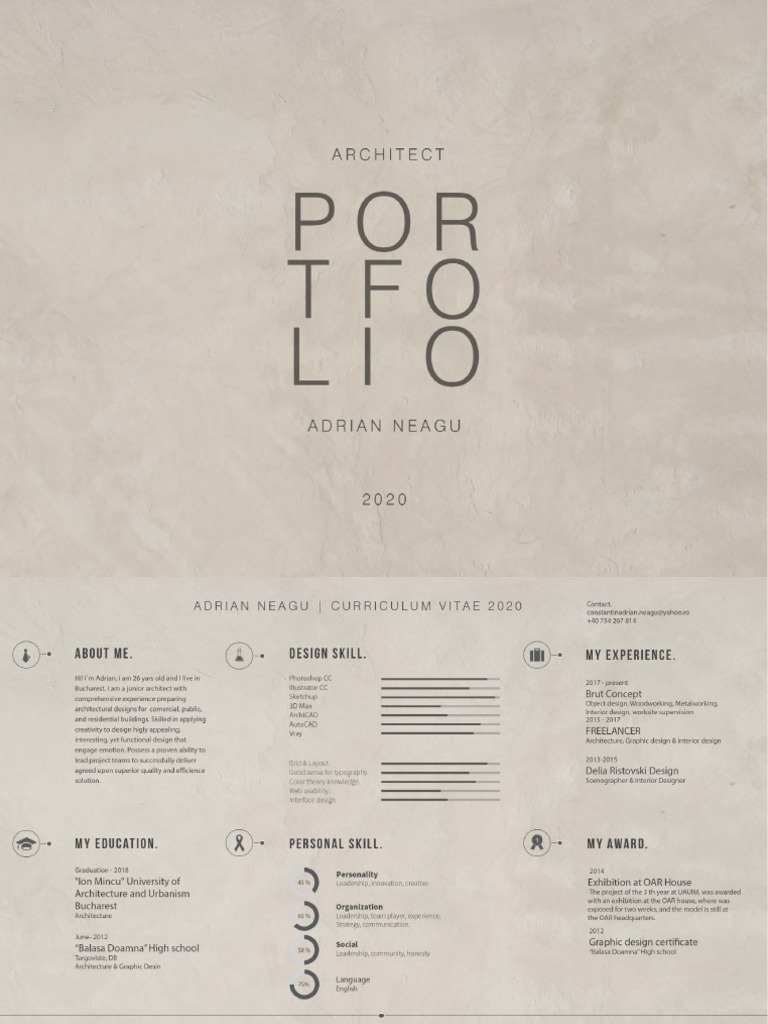 Portofoliu Adrian Neagu PDF | PDF | Art