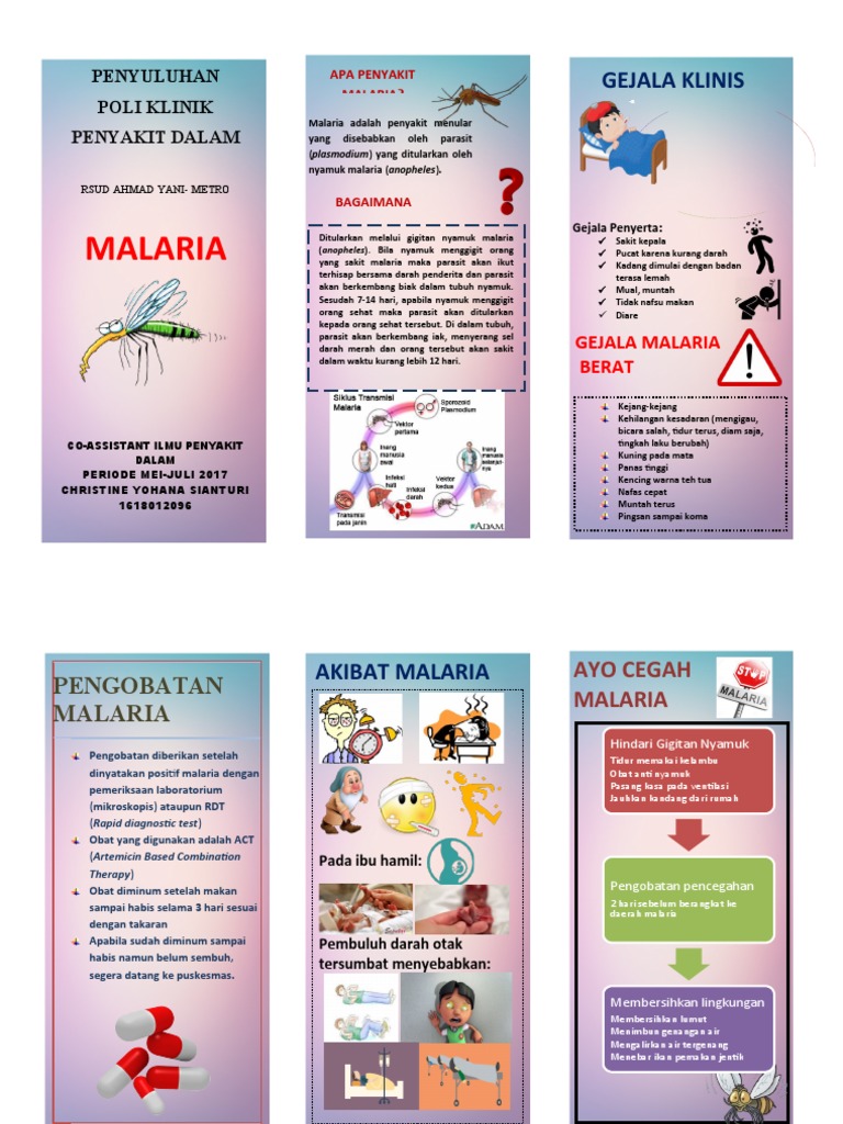 Leaflet Malaria | PDF
