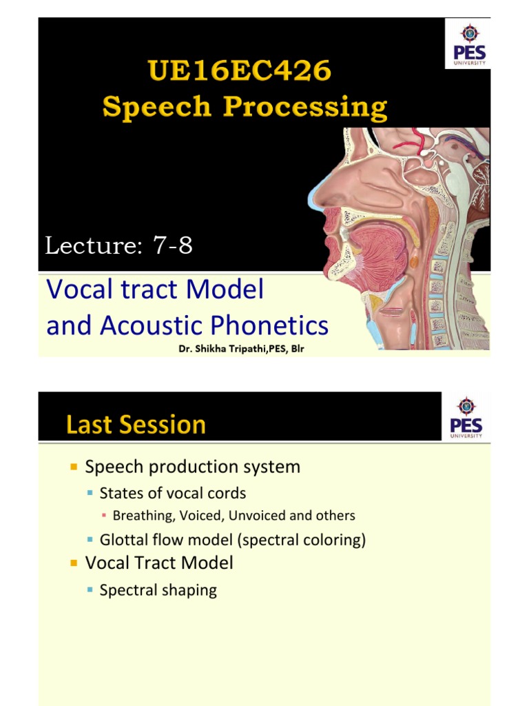 Lec7-8 Speech Processing | PDF | Phonetics | Vowel