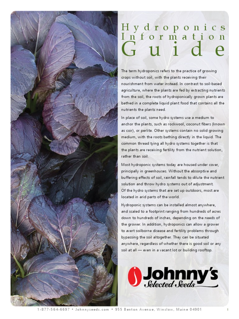 Guide: Hydroponics Information | PDF | Hydroponics | Environmental Design