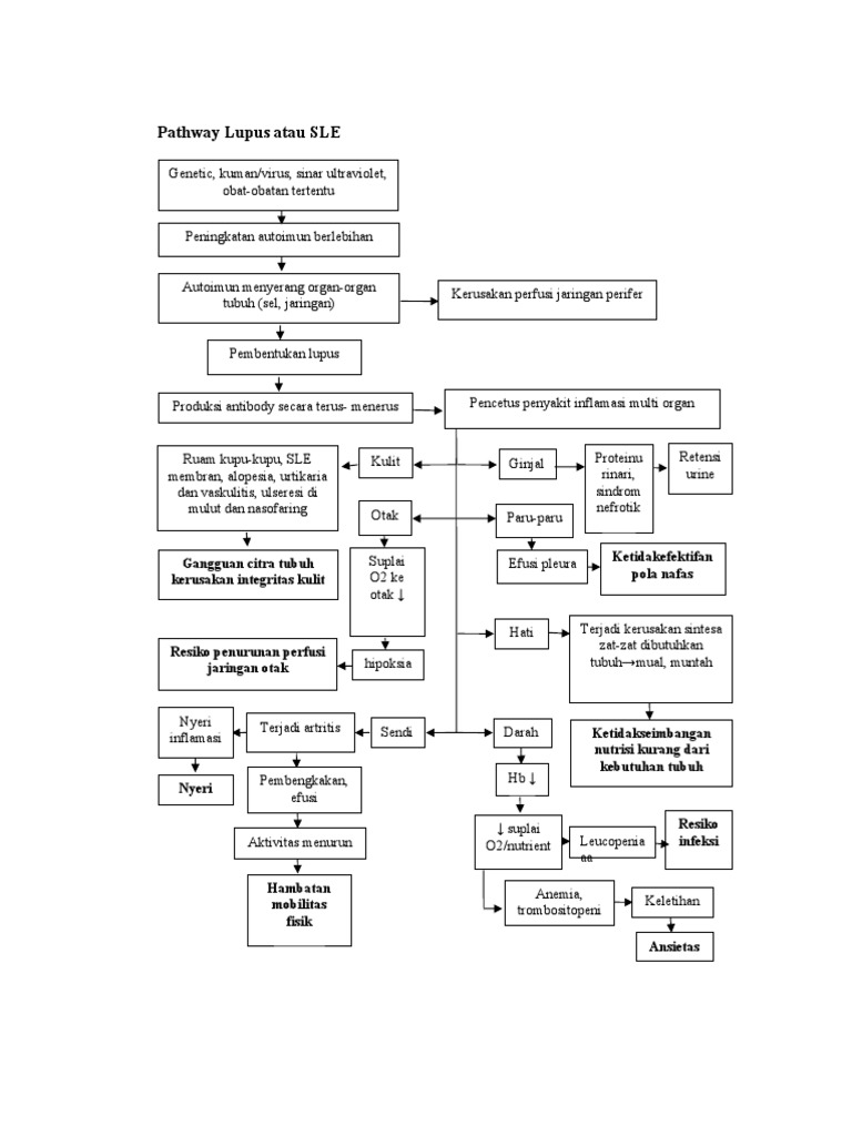 Pathway Lupus Atau SLE | PDF