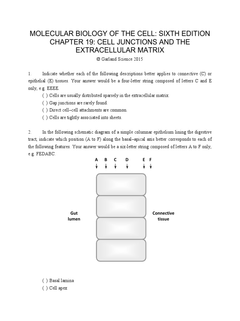 Chapter 19 PDF | PDF | Extracellular Matrix | Cell Adhesion