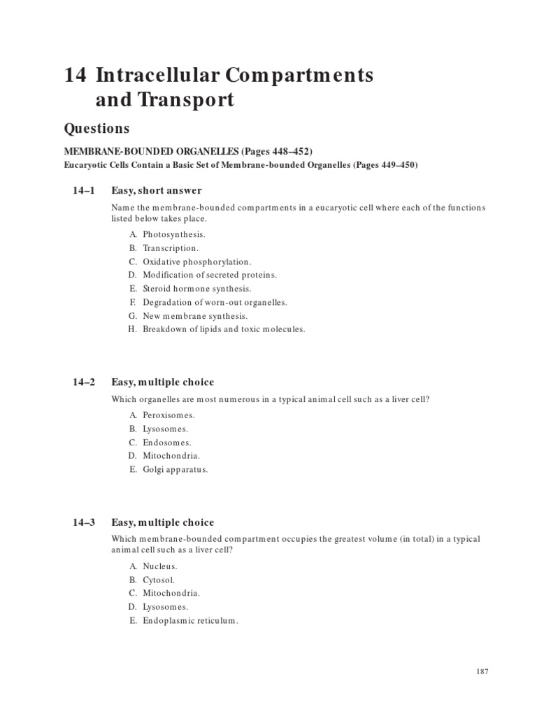Organelle Targeting: Understanding How Proteins Reach Their ...