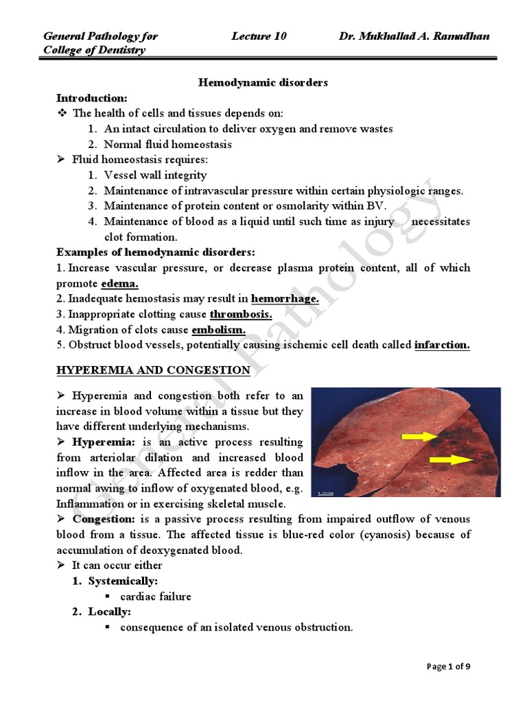 Hemodynamic Disorders and Edema Overview | PDF | Edema | Thrombus