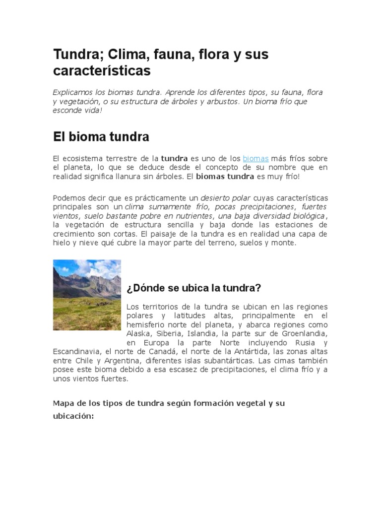 Explorando el frío bioma de la tundra: Clima, flora, fauna y ...