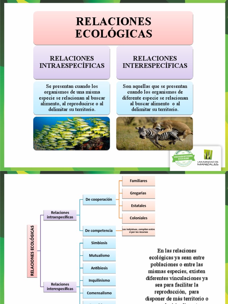 Tipos de Relaciones Ecológicas | PDF | Organismos | Interacciones ...