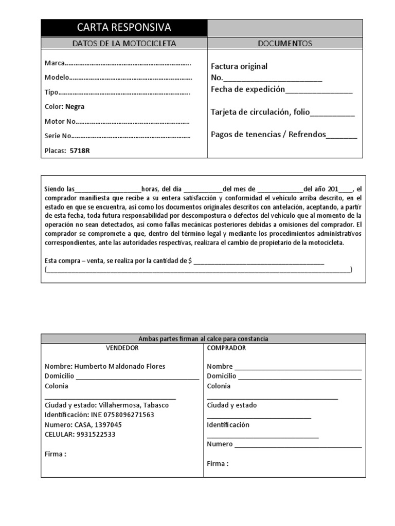 Carta Responsiva | PDF | Business