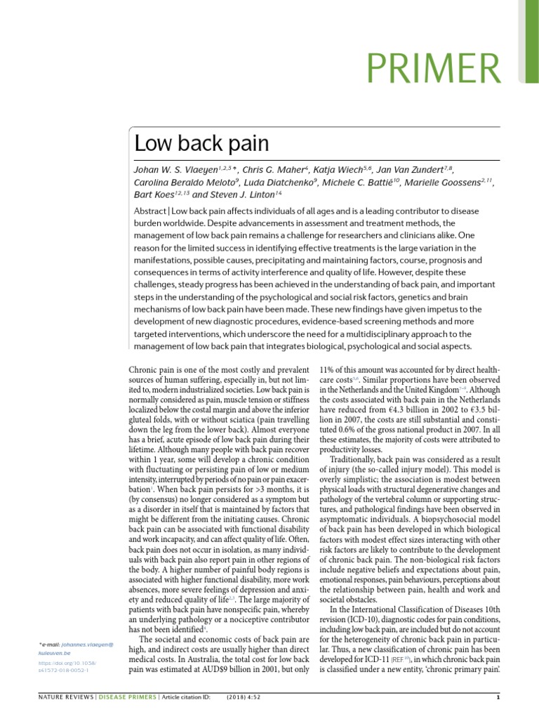 Low Back Pain 2018 | PDF | Back Pain | Vertebral Column