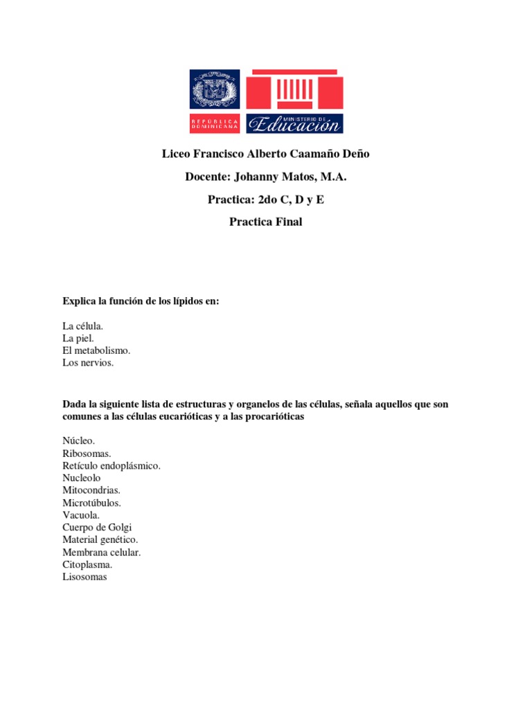 Practica Final de 2do | PDF | Ribosoma | Rna