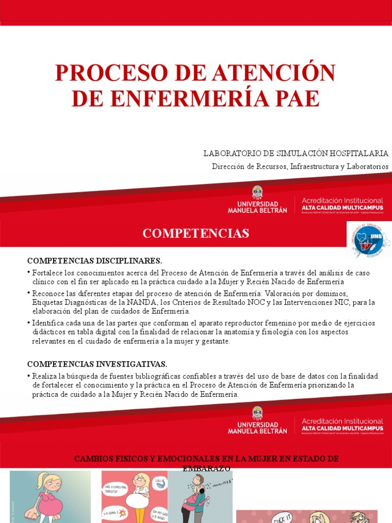 Proceso de Atención de Enfermería PAE | PDF | Cuidado de la salud ...