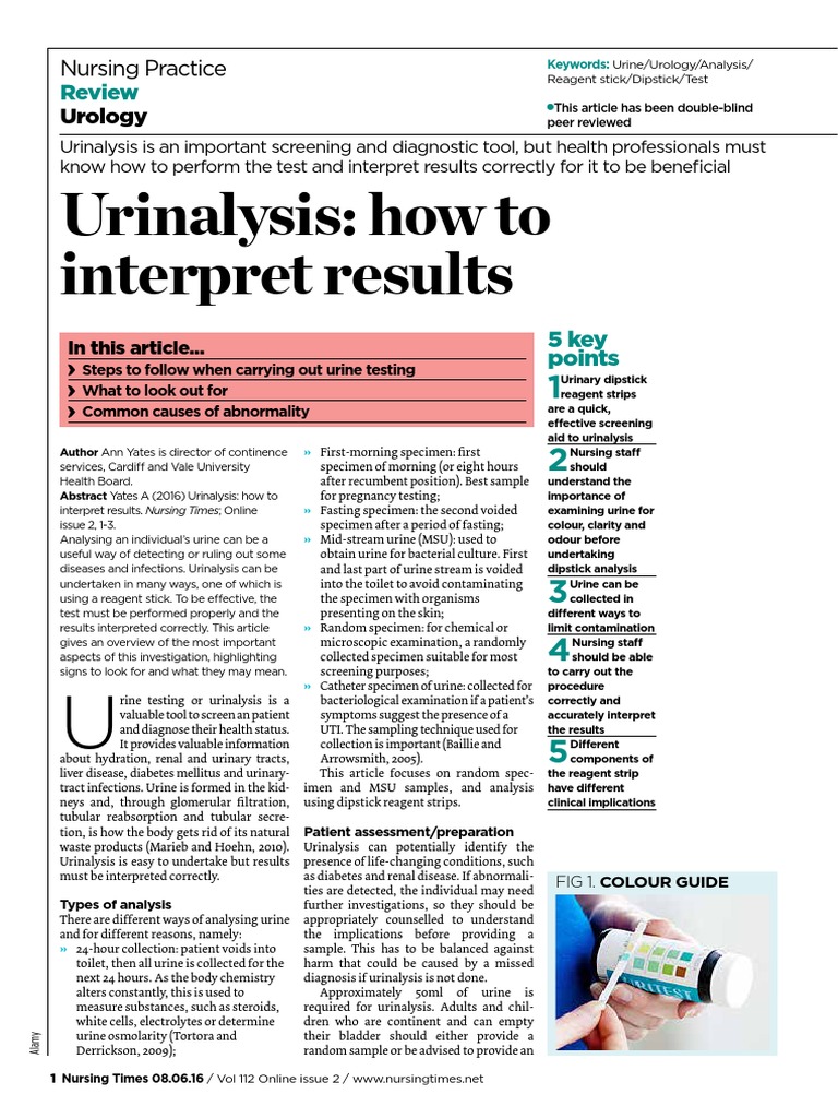 Urinalysis How To Interpret Results PDF | PDF | Urine | Kidney