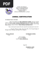 RSBSA Barangay Certificate | PDF