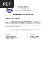 RSBSA Barangay Certificate | PDF