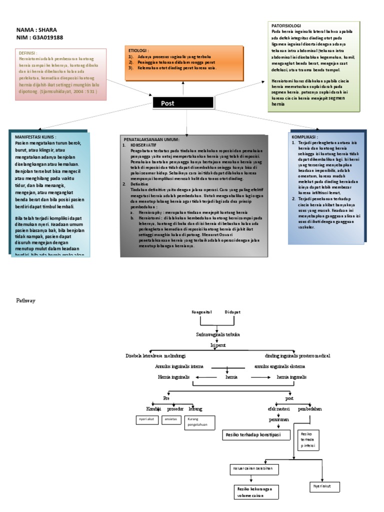 Mind-Map Herniotomy | PDF
