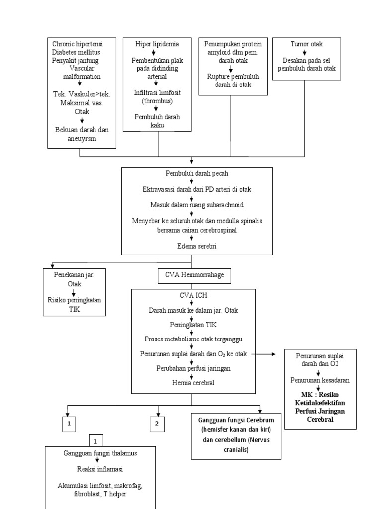 1 Patofisiologi CVA ICH | PDF