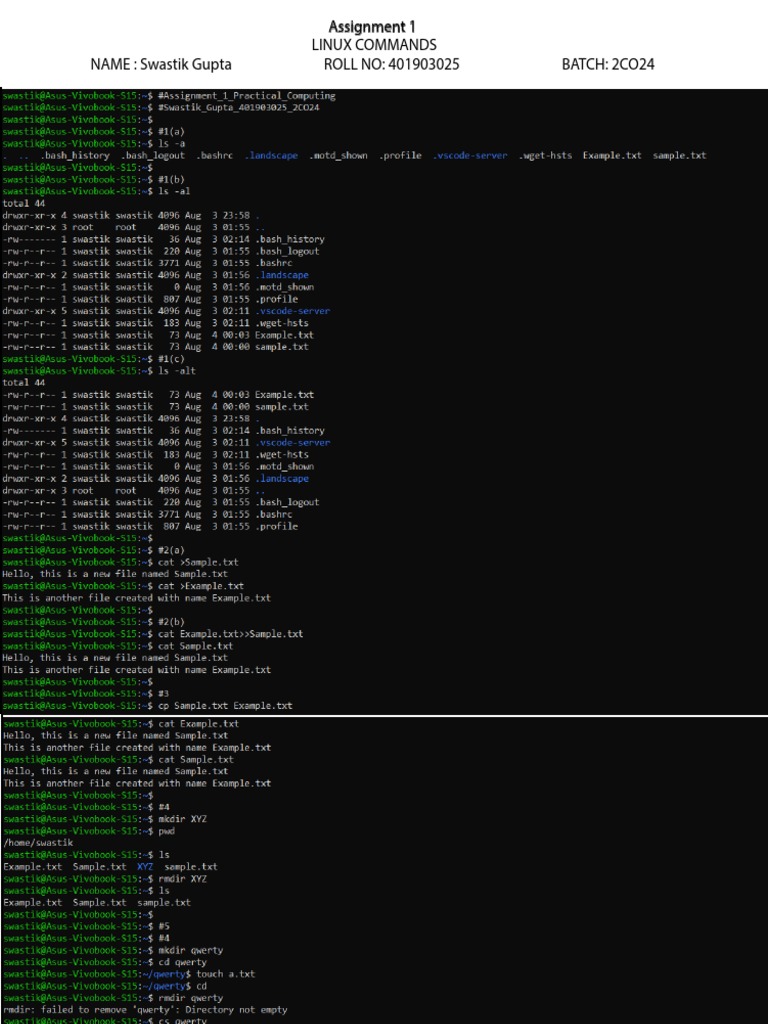 Linux Commands Assignment 1 | PDF