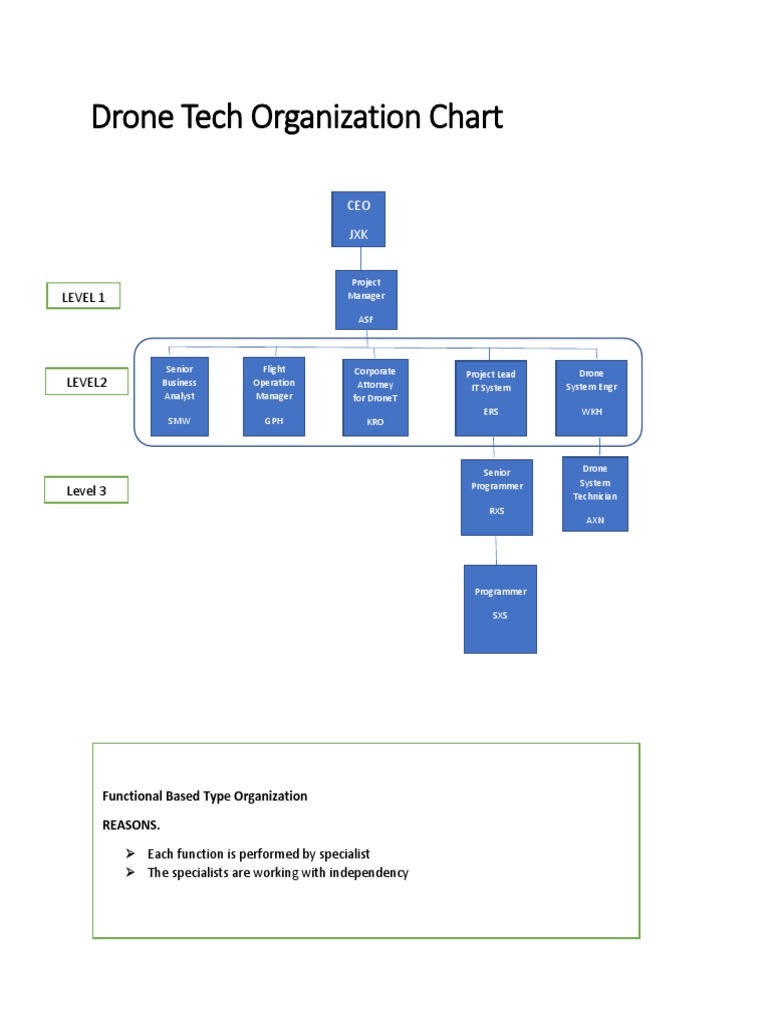 DroneTech Organization Chart Assignment | PDF