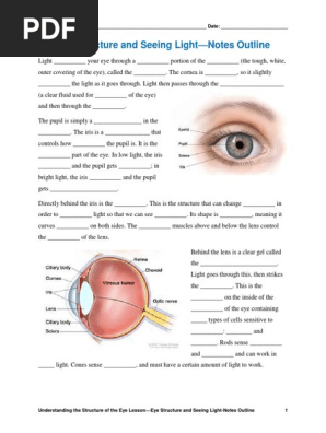 Eye Anatomy Worksheet Pdf How Vision Works: Eye Science Projects