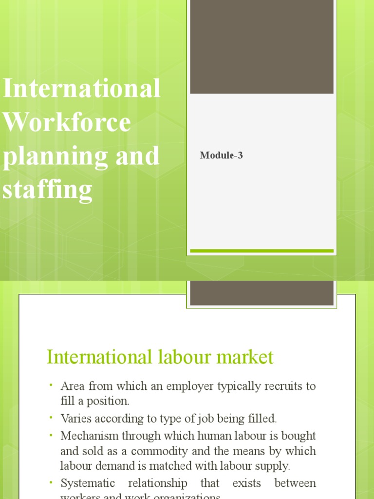 International Workforce Planning and Staffing: Module-3 | PDF ...