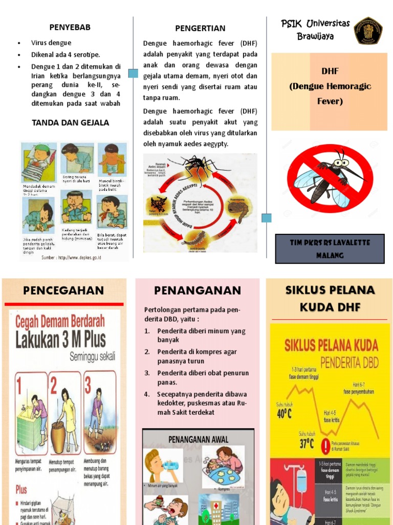Leaflet DHF PDF | PDF