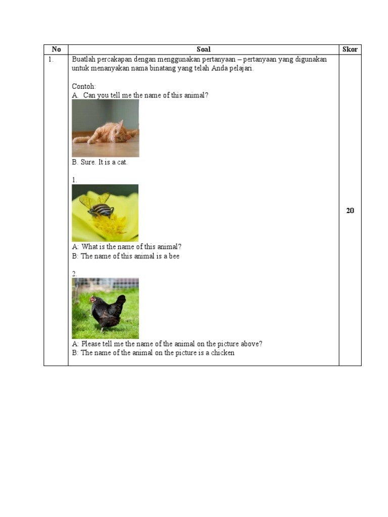 Animal Conversations: A Collection of Dialogs About Various Animals and ...