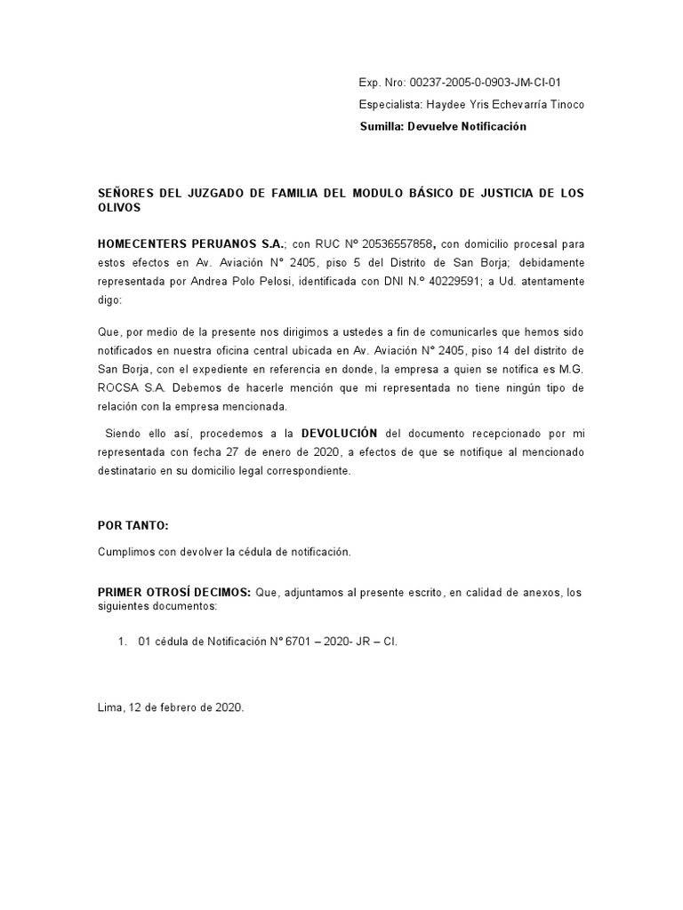 Modelo de Devolución de Documento | PDF