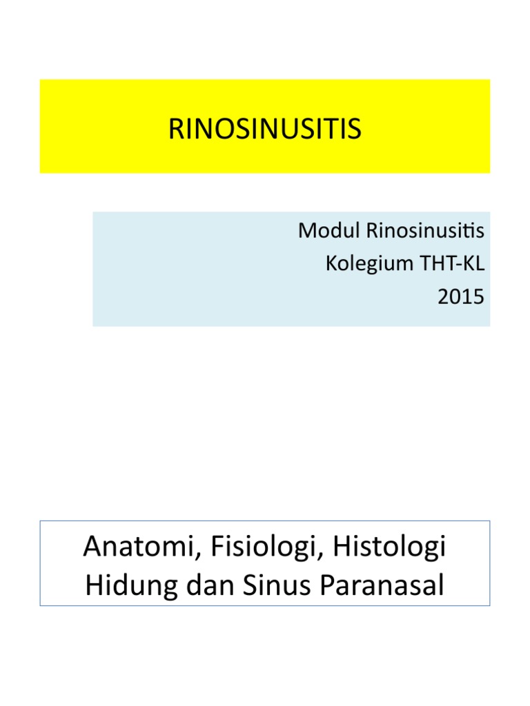 LAMPIRAN RINOSINUSITIS PPT | PDF | Human Nose | Medical Specialties