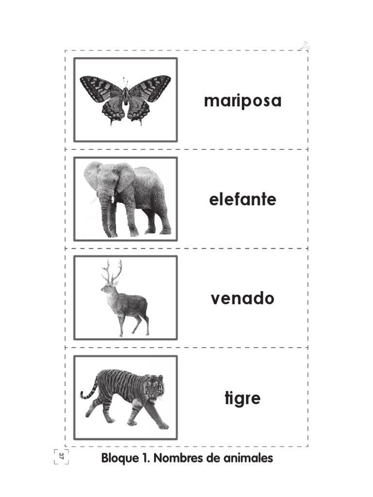 Nombres de Animales en Español | PDF