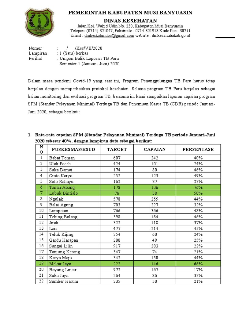 Laporan Capaian TB Paru Musi Banyuasin 2020 | PDF