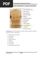 Incisión de Pfannenstiel: Técnica y Aplicaciones | PDF | Pelvis | Vagina