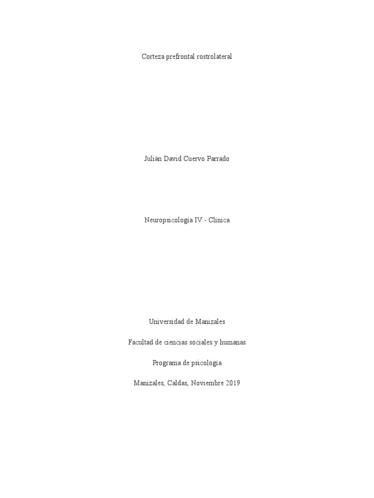 Funciones del Córtex Prefrontal Rostrolateral | PDF | Corteza ...