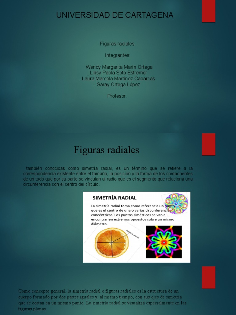 Figuras Radiales | PDF