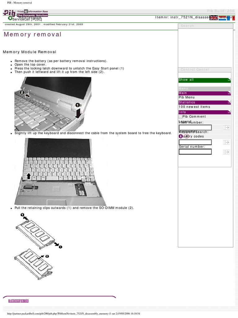 PIB - Memory Removal | PDF | Computer Hardware | Computing