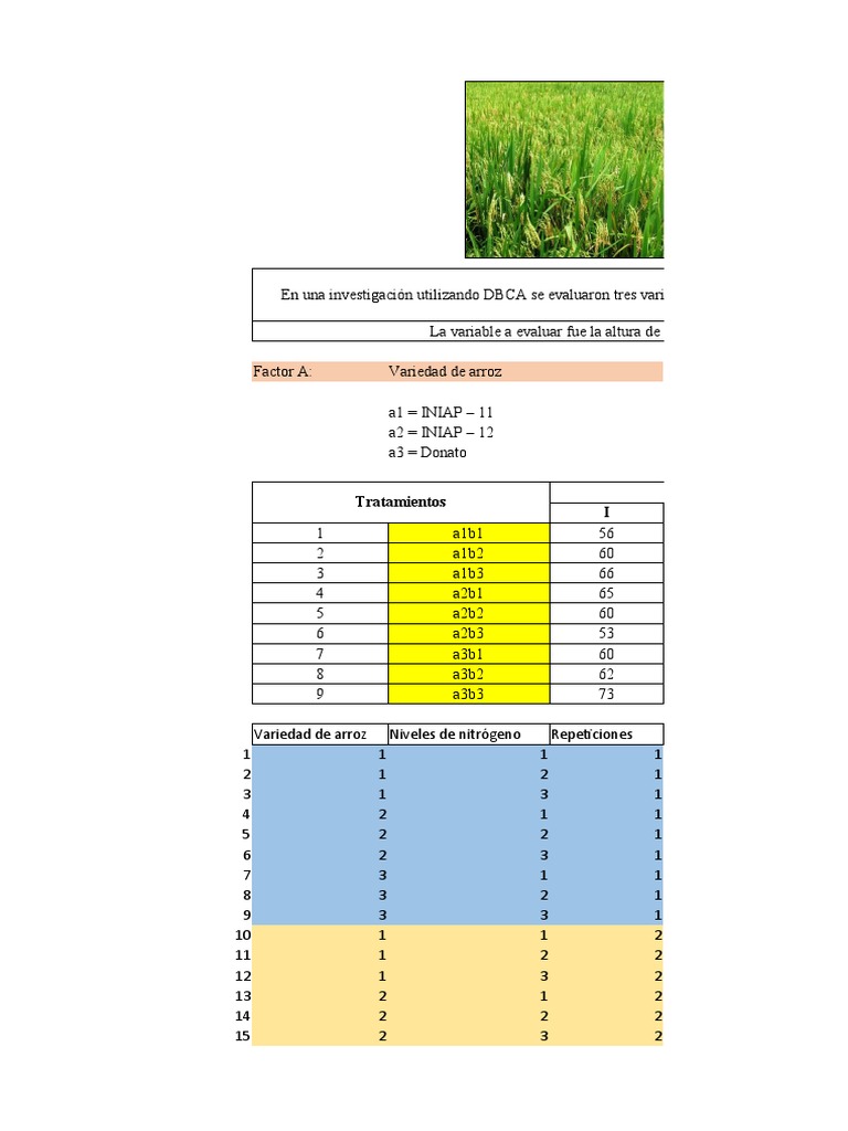 Ejercicio de - Ruth Vera Dbca Ab | Descargar gratis PDF | Análisis de variación | Análisis ...