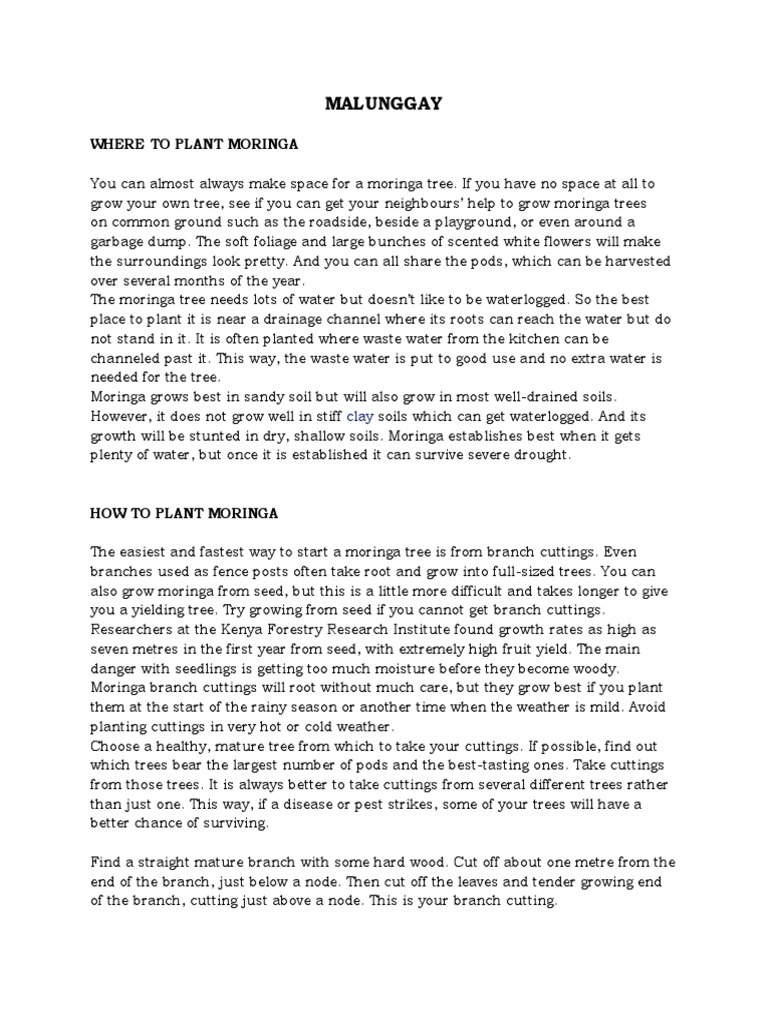 Malunggay PDF | PDF | Trees | Agronomy