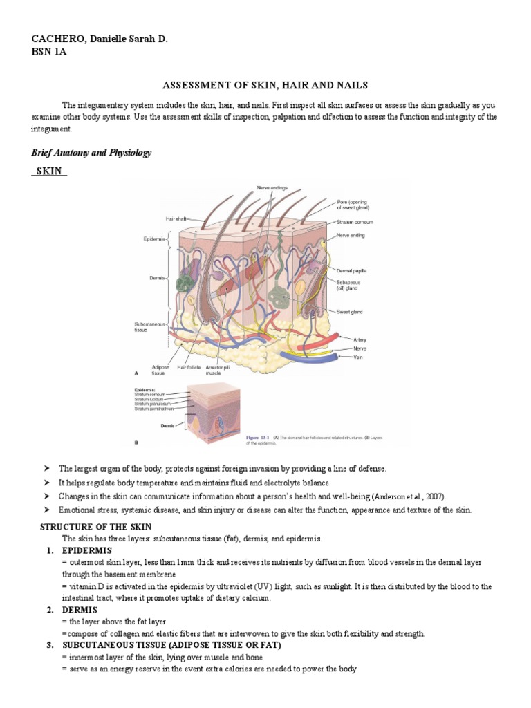 Assessment of Skin, Hair and Nails Finale | PDF | Integumentary System ...