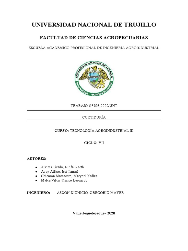 Tecno 3 Tarea 3 | PDF | Cuero | sal