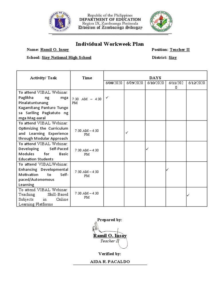 Individual Work Week Plan JUNE 08 12 2020 1 | PDF